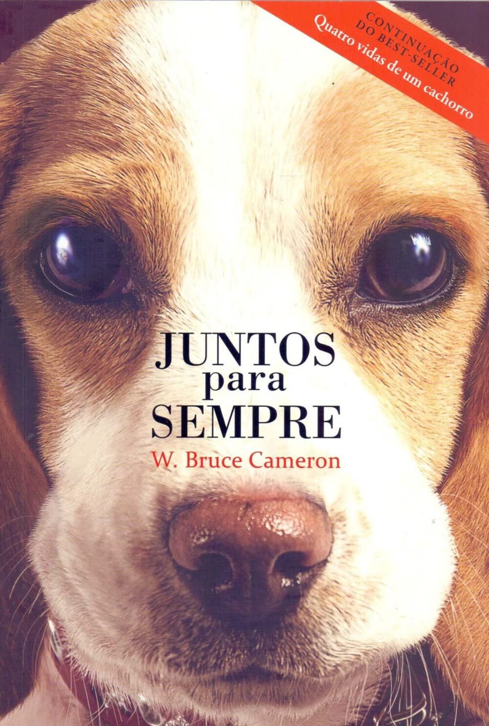 Juntos para sempre | Amazon.com.br