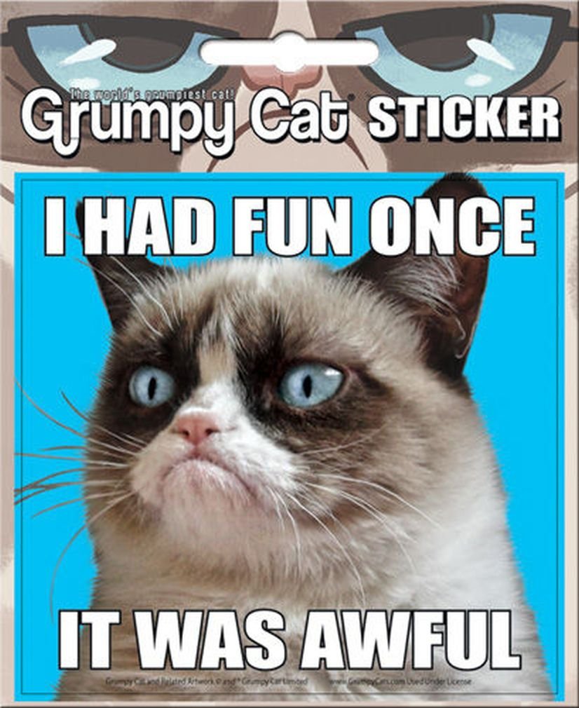 Angry Cat Meme I Had Fun Once