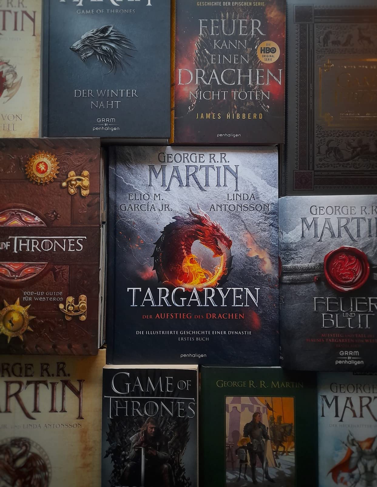 Targaryen: Der Aufstieg des Drachens – Die illustrierte Geschichte ...