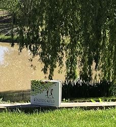 Finding Wild: Wagner Lloyd, Megan, Halpin, Abigail: 9781101932810 ...