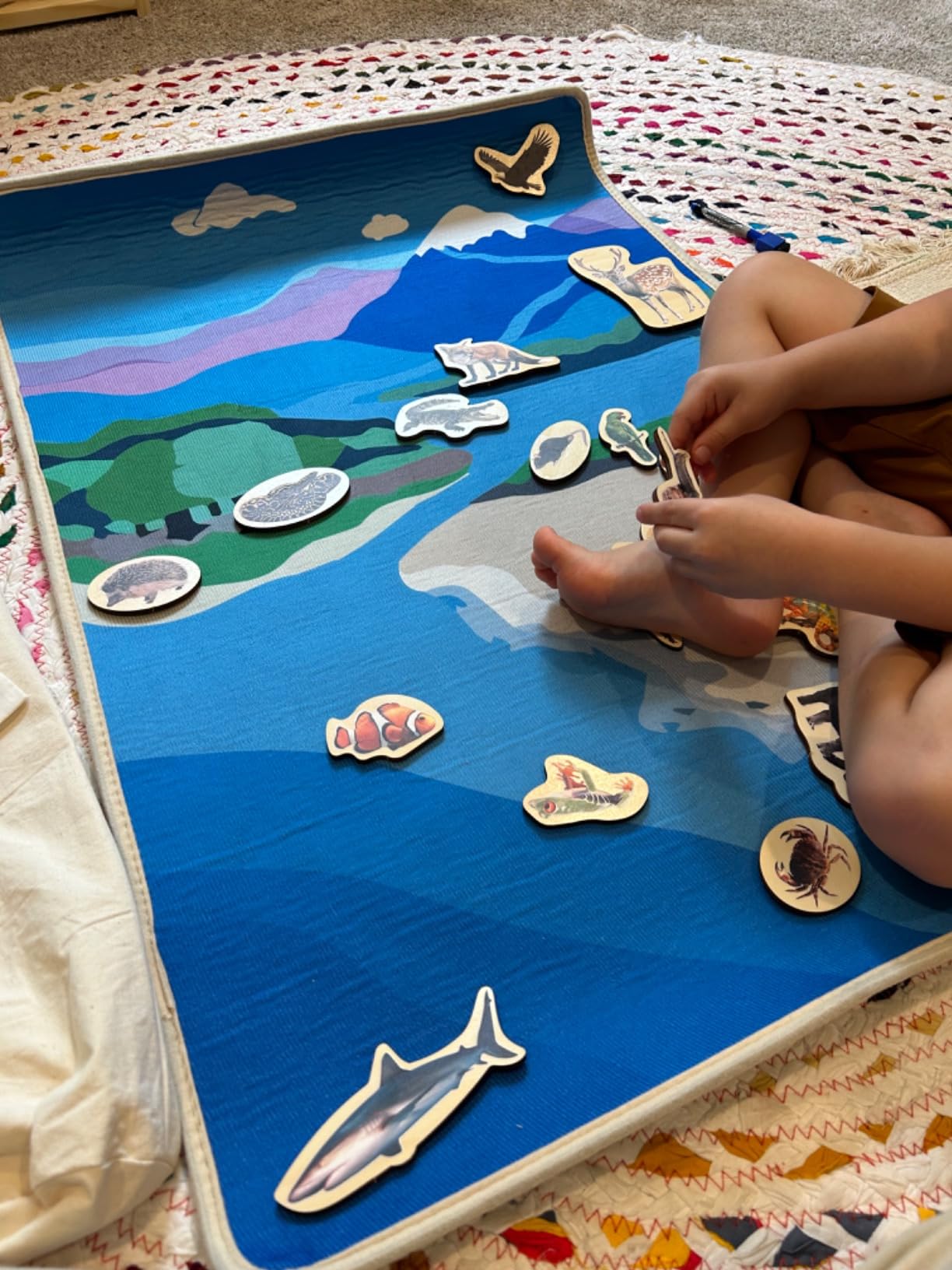 Amazon.com: Montessori Land and Water Map with 25 Wooden Animals ...
