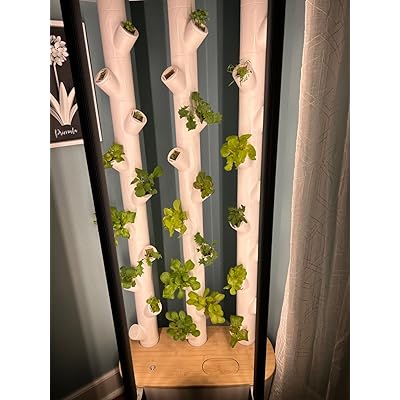 Gardyn 3.0 Indoor Hydroponics Growing System with India | Ubuy