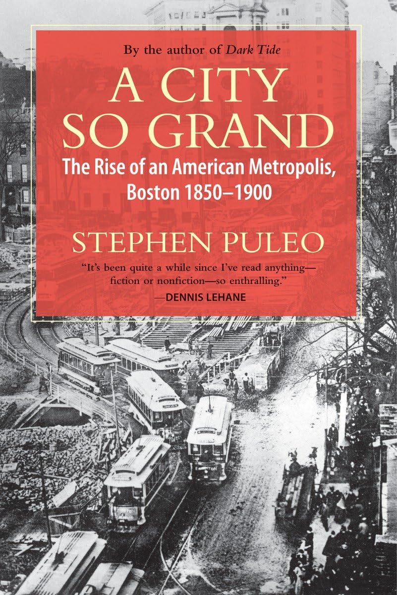 A City So Grand: The Rise of an American Metropolis: Boston 1850-1900 ...