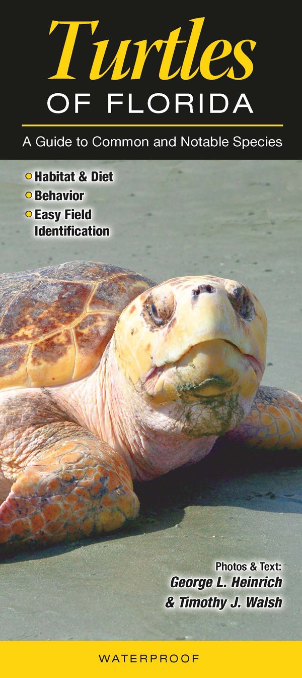 Turtles of Florida: A Guide to Common & Notable Species (Quick ...
