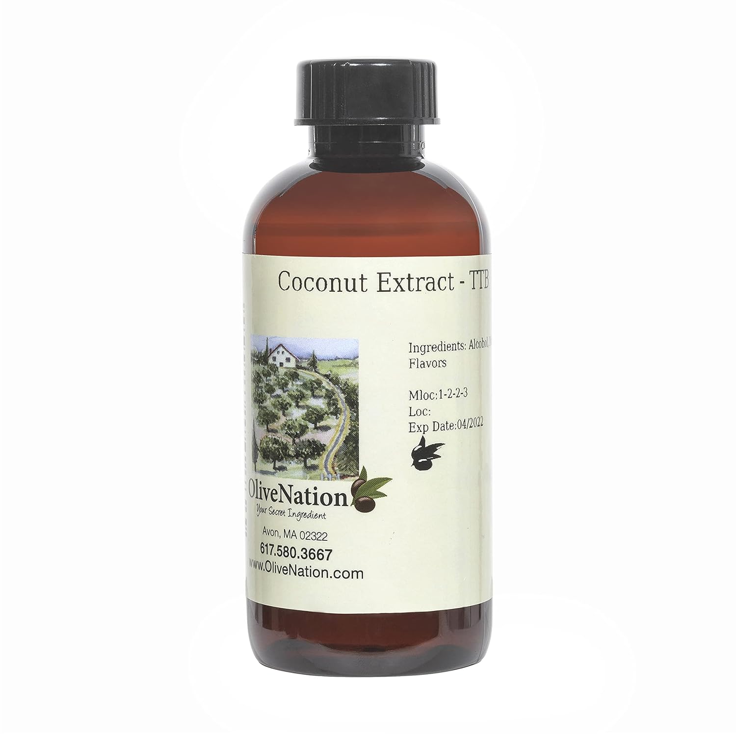 Amazon.com: OliveNation Coconut Flavor Extract TTB Approved for Brewing ...