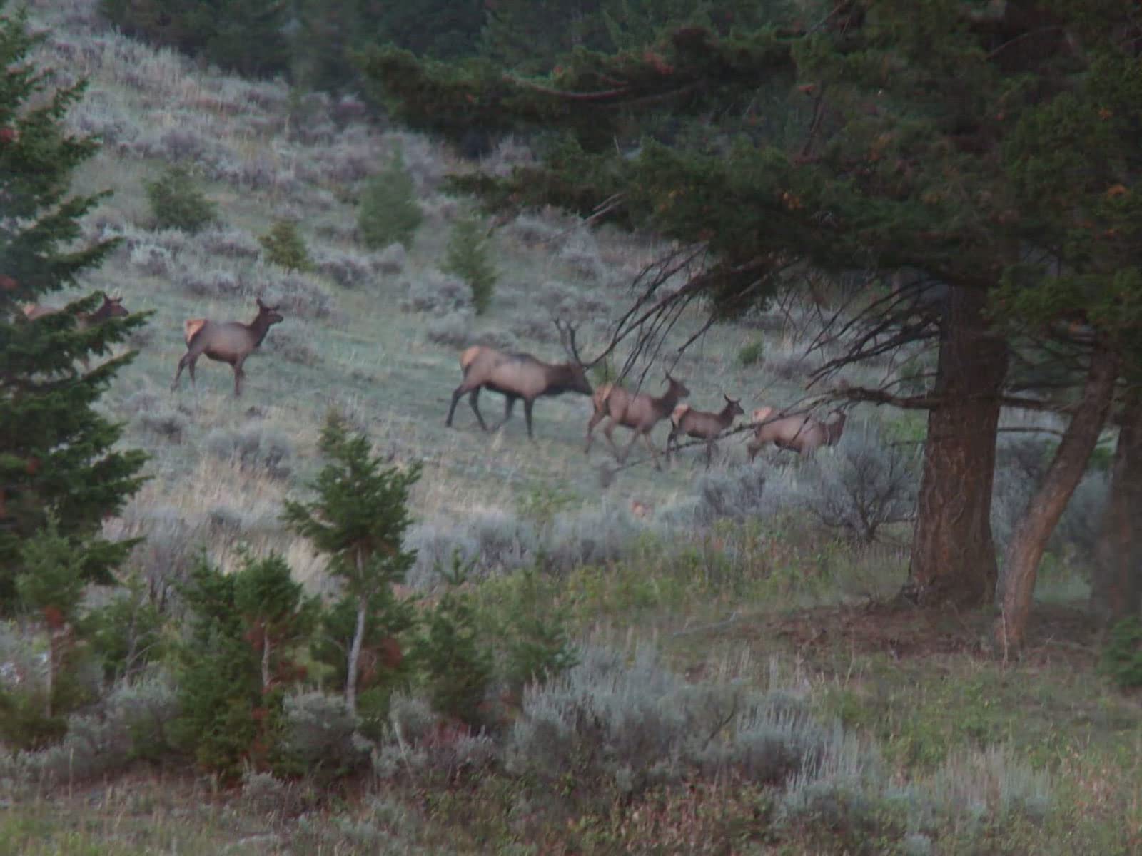 Watch American Archer - Season 26 | Prime Video