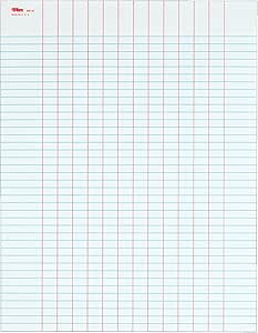 Amazon.com : Tops(R) Data Pad, 12 Column & Summary, White (TOP3616 ...