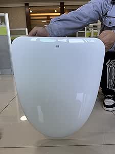 iliD Bidet Toilet Seat, Electric Elongated Ecoseat with Four Cleaning ...