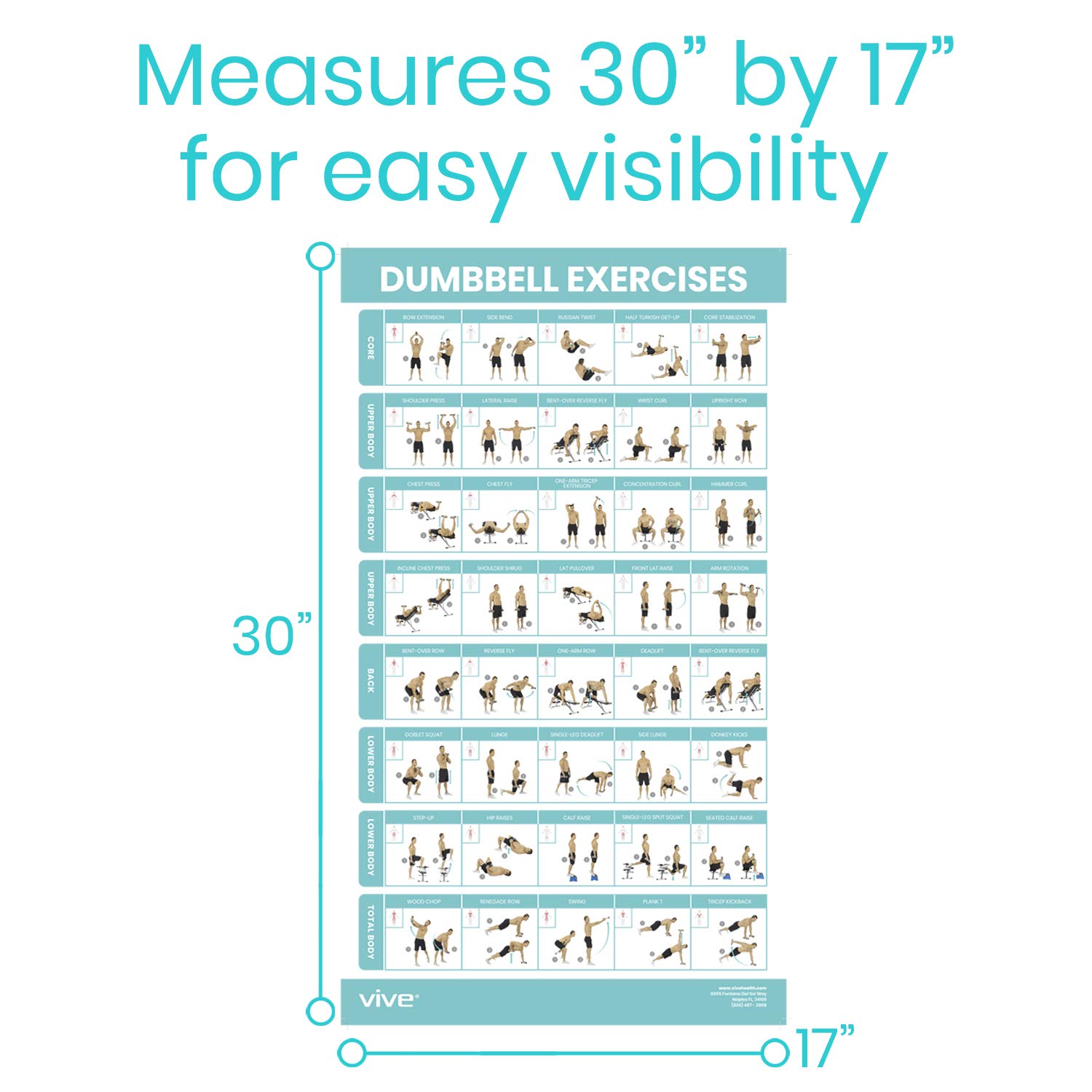 Vive Dumbbell Exercise Poster - Home Gym Workout for Upper, Lower, Full ...