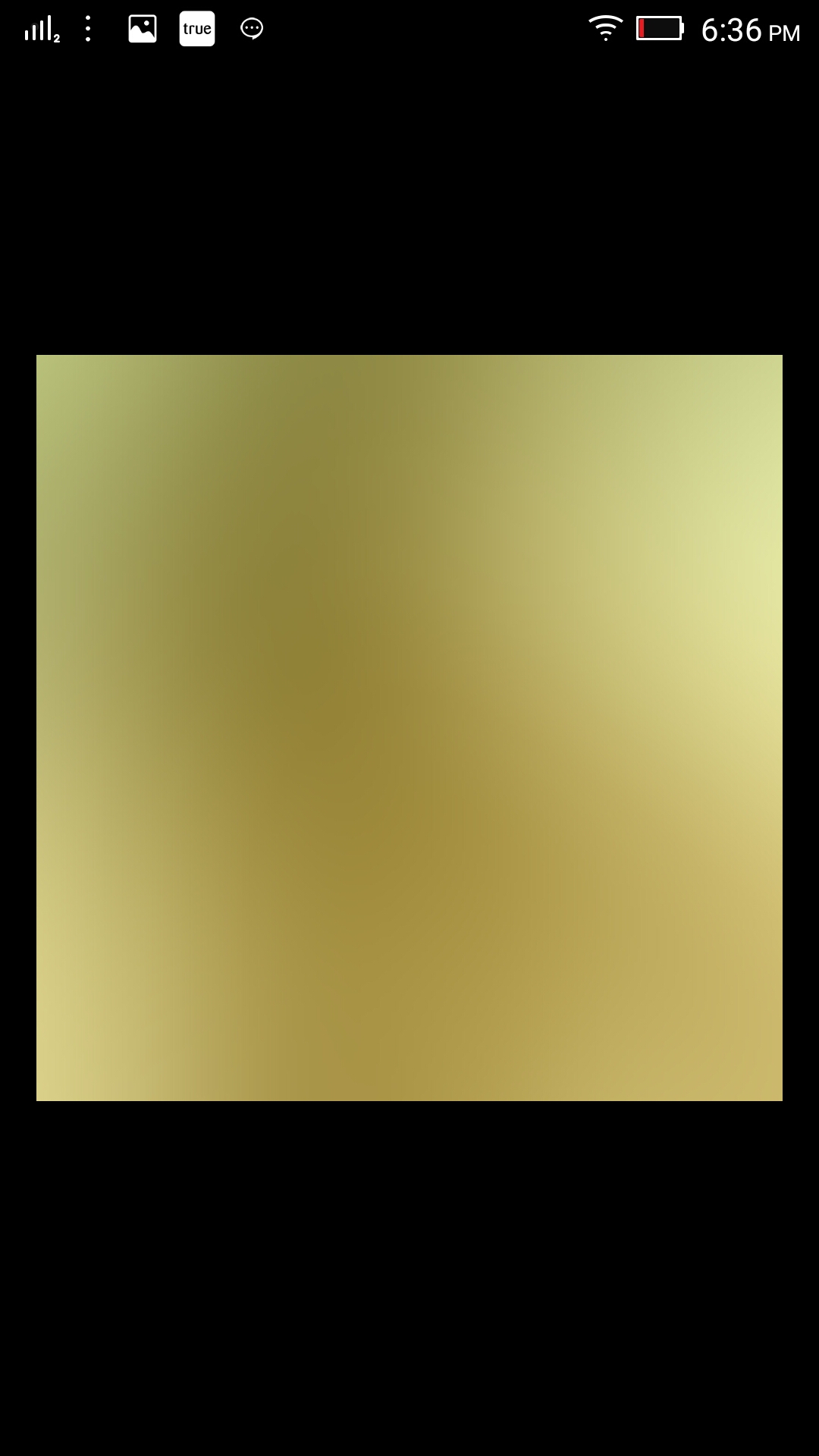 Self Censor is designed to blur inappropriate images on your devices ...