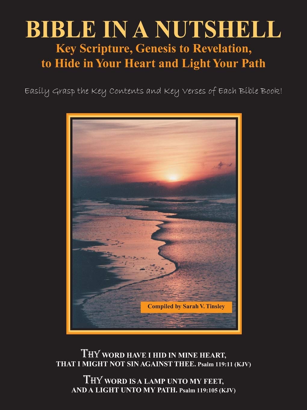 Bible in a Nutshell: Tinsley, Sarah: 9781553951056: Amazon.com: Books
