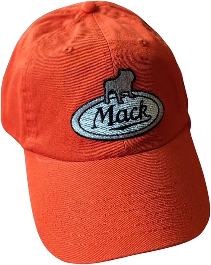 Dale Gribble King of The Hill Baseball Cap - Orange Mack Hat : Amazon ...