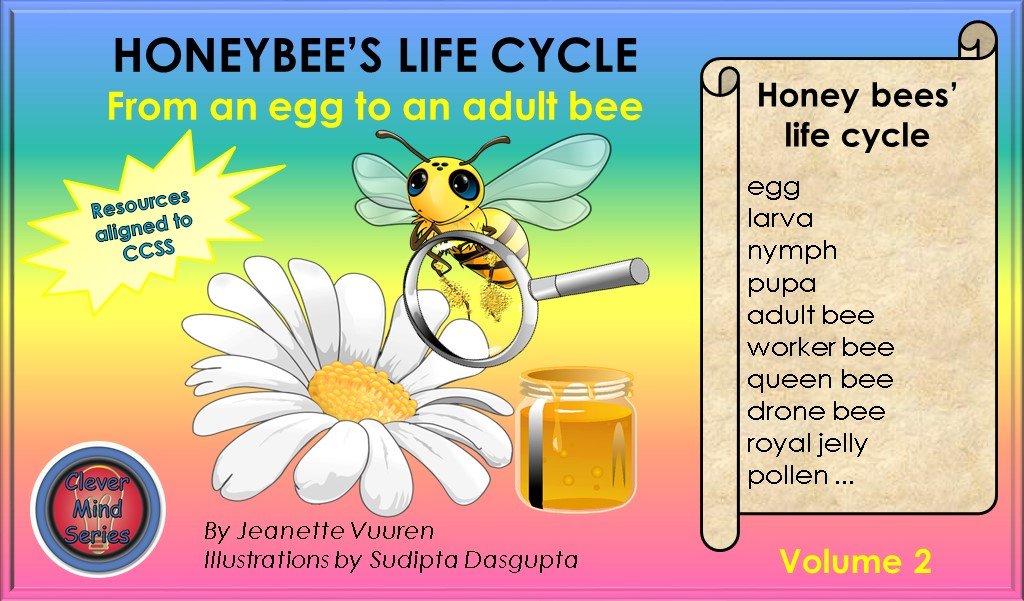 Amazon.com: Science: Honeybee's Life Cycle Volume 2, honey bees life ...