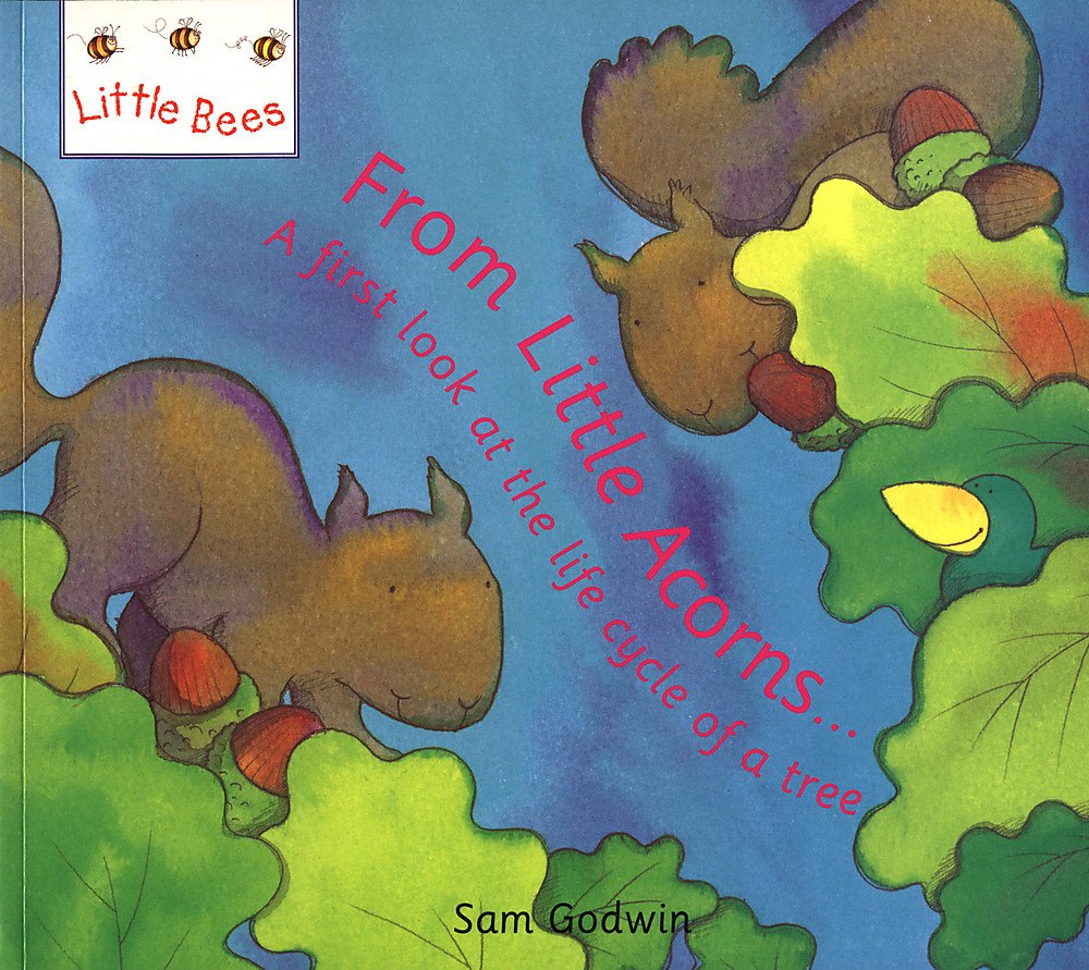 From Little Acorns : A First Look at the Life Cycle of a Tree: Sam ...