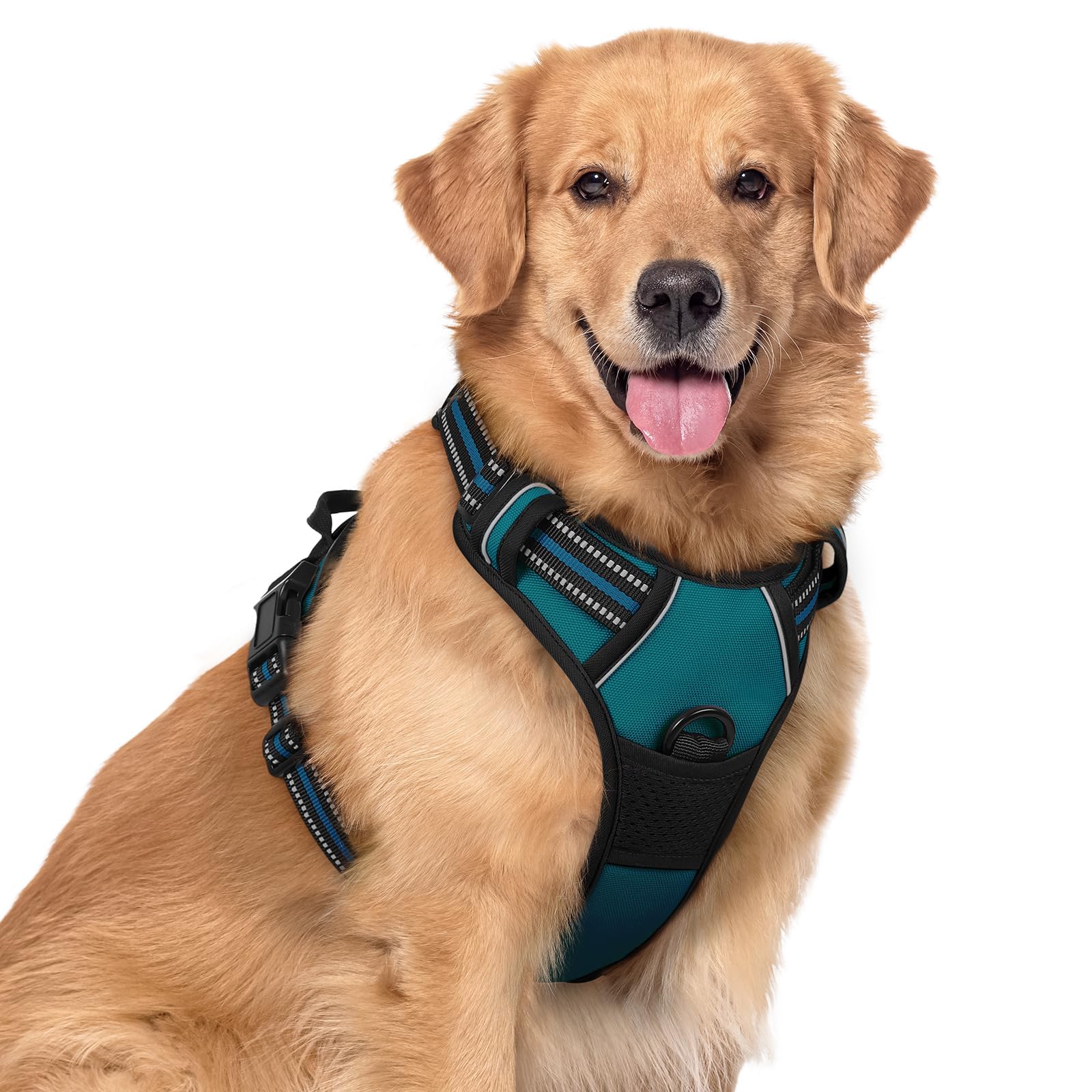 7 Best Harness For A Golden Retriever | Golden Retriever No-Pull