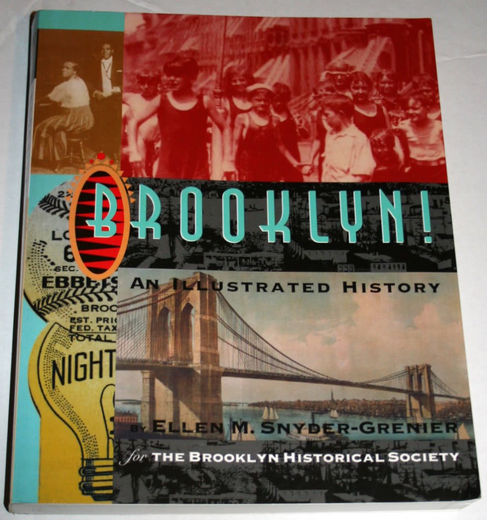 Brooklyn: An Illustrated History (Critical Perspectives on the Past ...