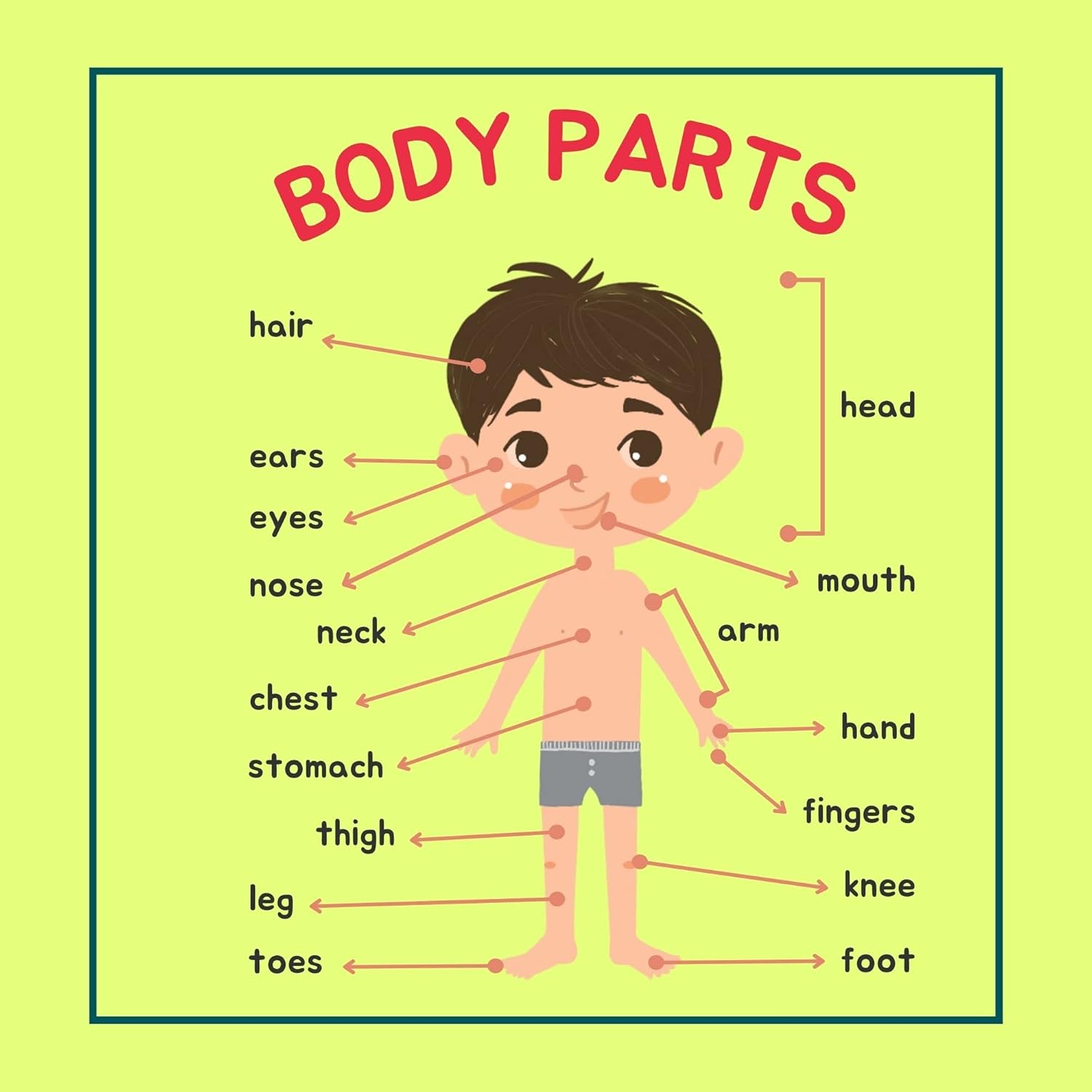 Body Parts: Colorful Pictures of Body Parts. A Colorful Book for Kids ...