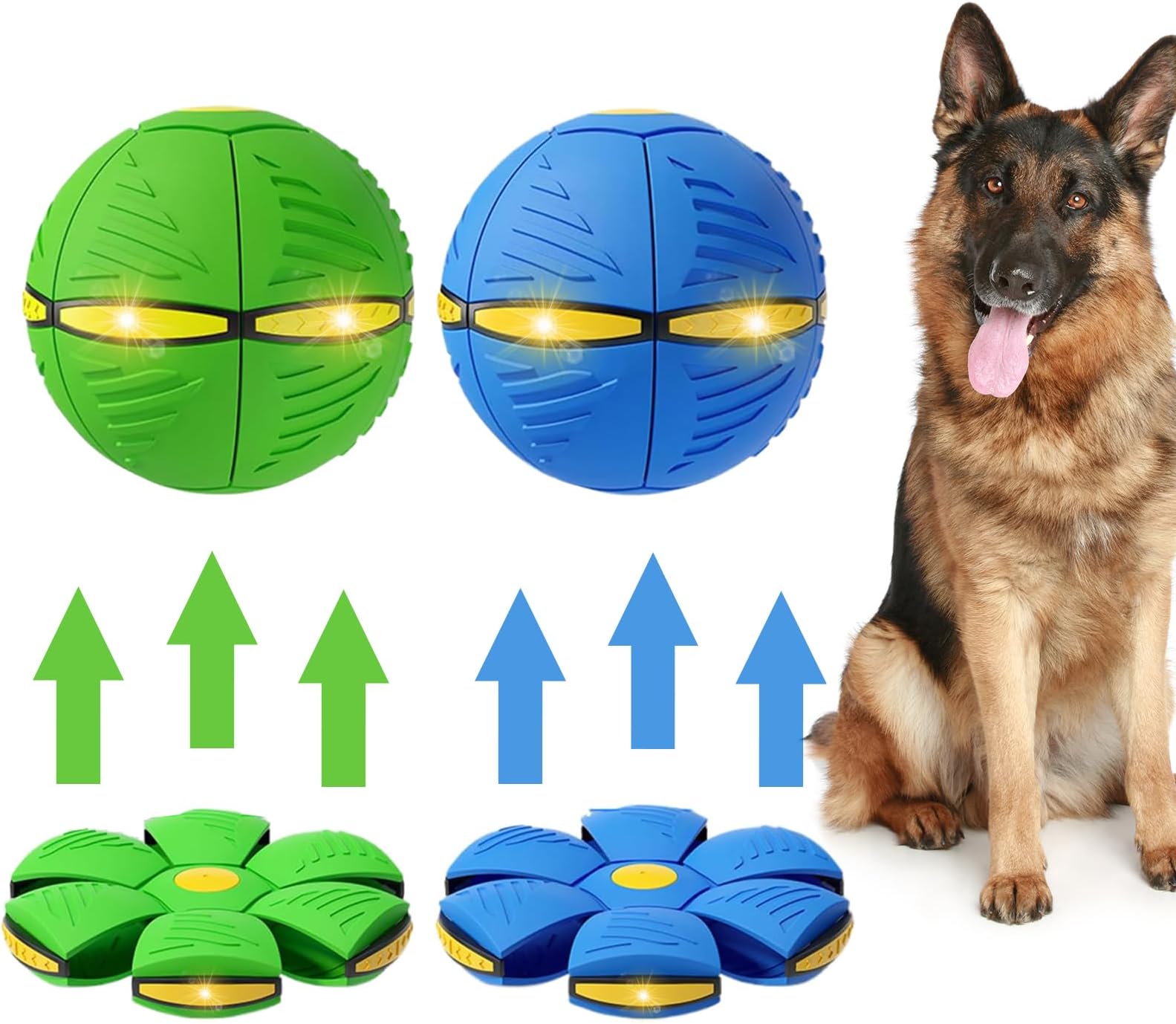 Pet Supplies : BADWALT 2PCS Dog Flying Disc Toy, Pet Toy Flying Saucer ...