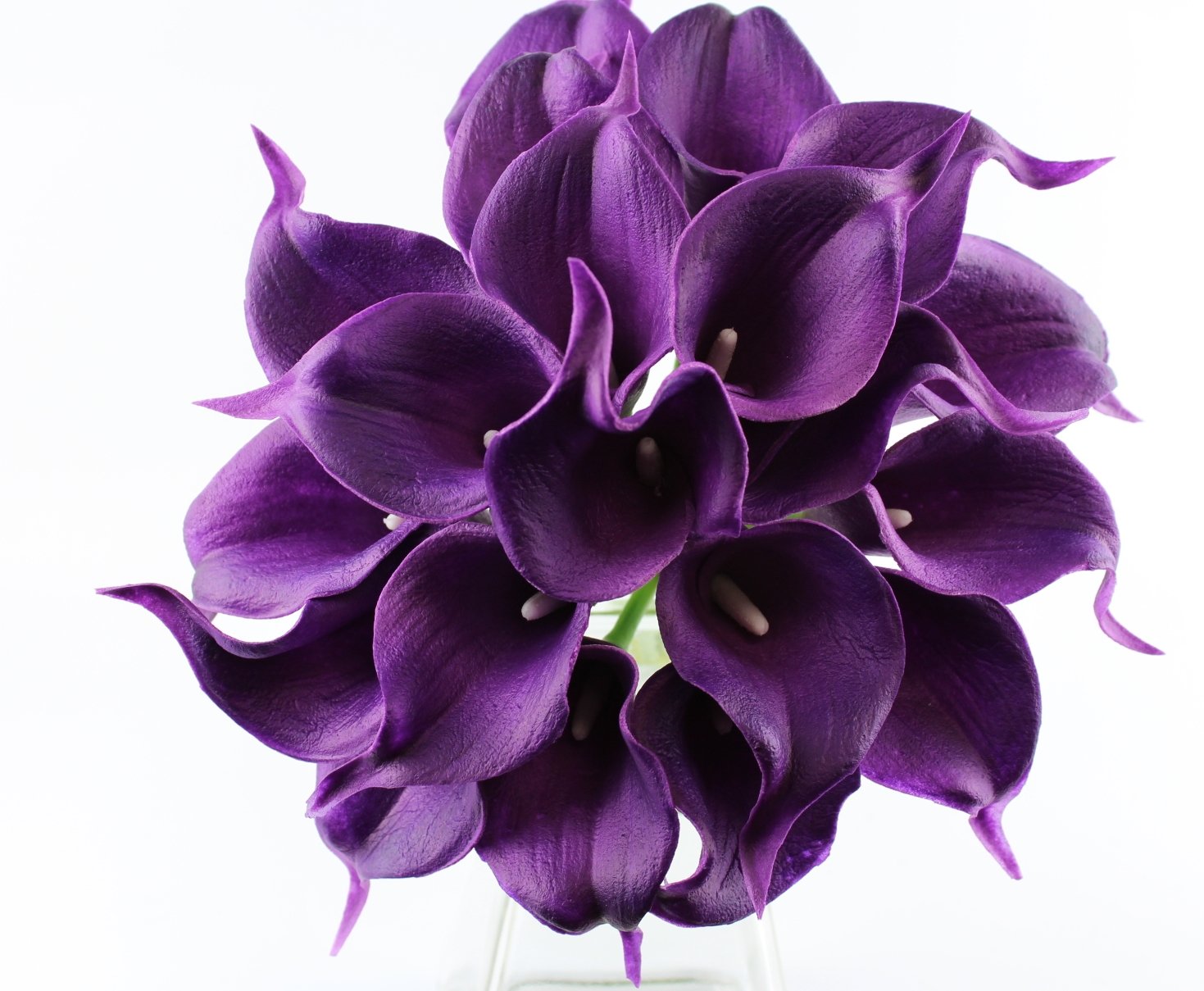 Amazon.com: Angel Isabella, LLC 20pc Set of Keepsake Artificial Real ...