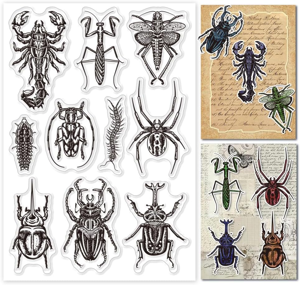Amazon.com: GLOBLELAND Scorpion Insect Clear Stamps Embossing Beetle ...