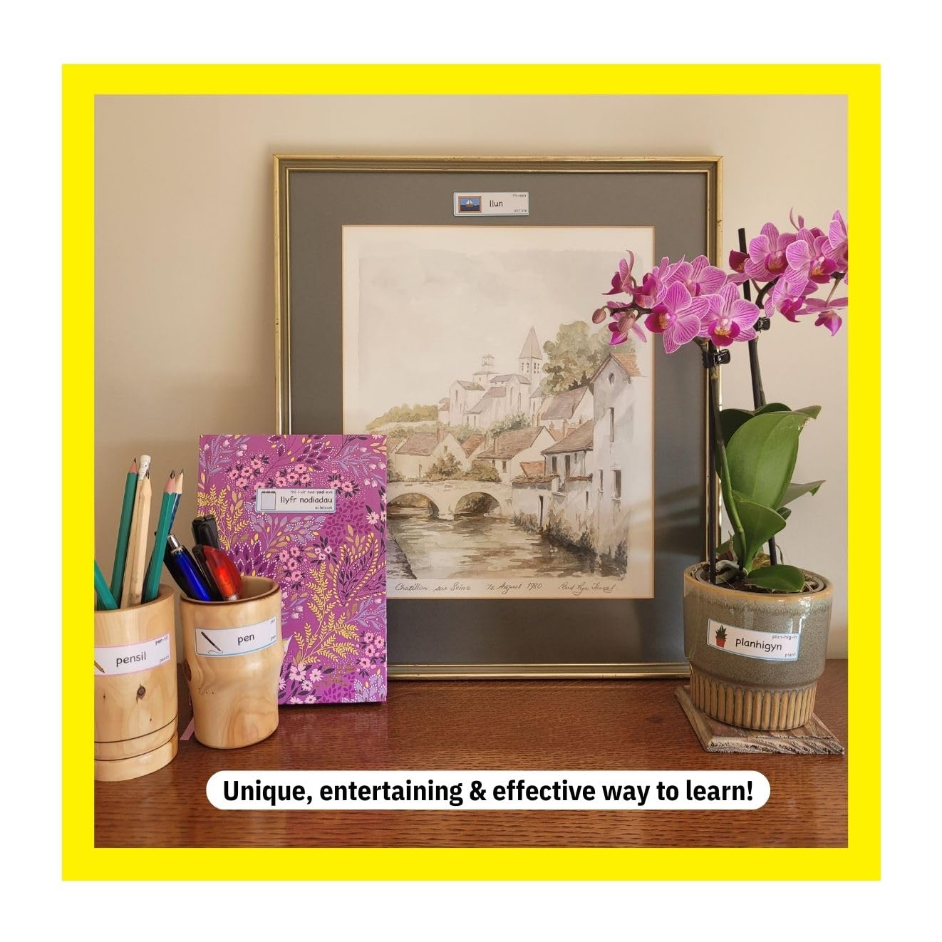 Lingui-Sticks Language Learning Stickers – Educational Stickers to ...