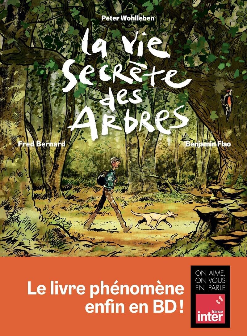 La Vie secrète des arbres en BD: Wohlleben, Peter, Bernard, Fred, Flao ...