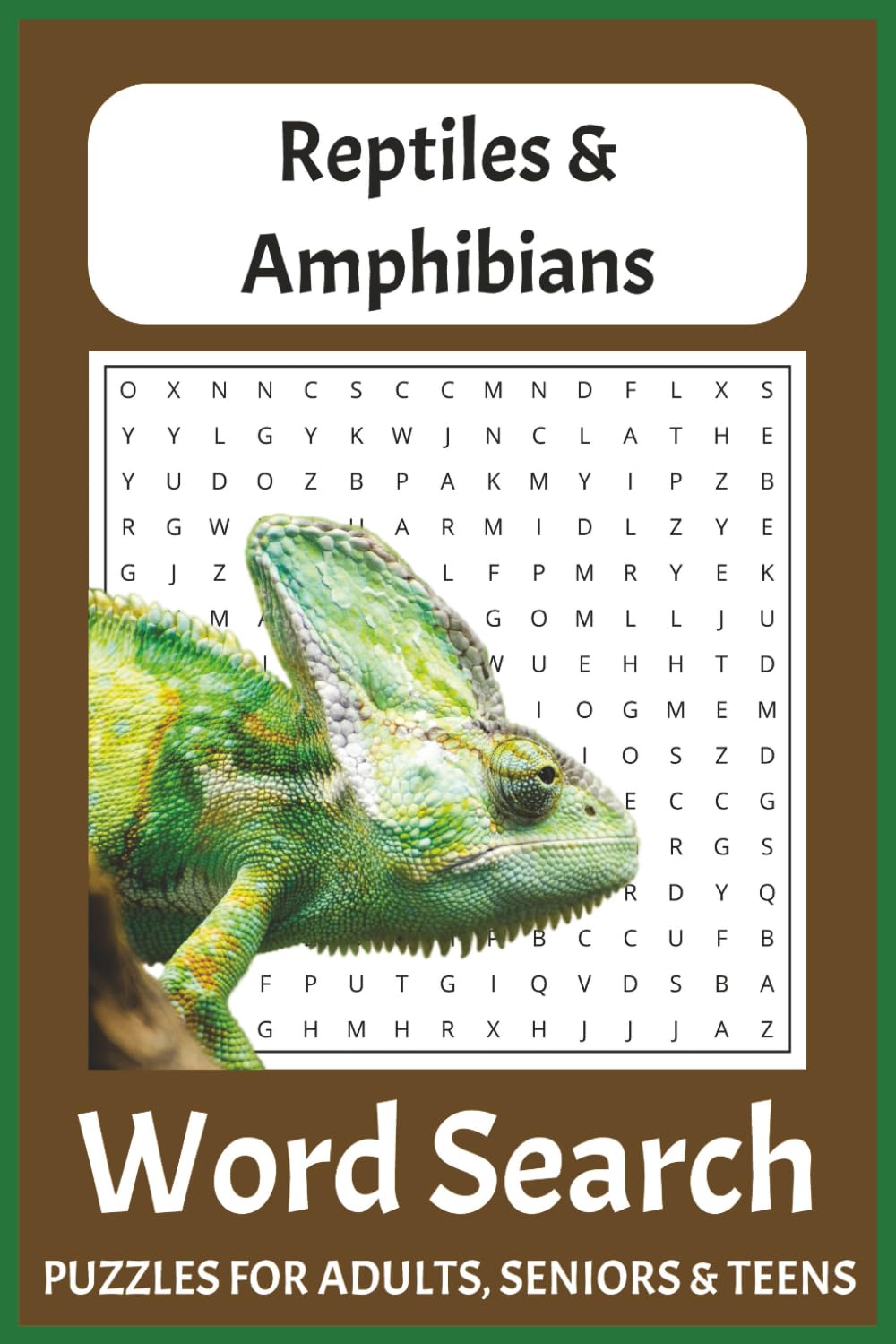 Reptile & Amphibian Word Search Puzzle Book: Word Searches with Easy to ...