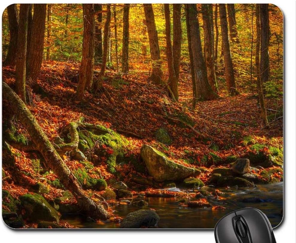 Amazon.com : Wilderness Forest in Autumn Mouse Pad, Mousepad (Forests ...