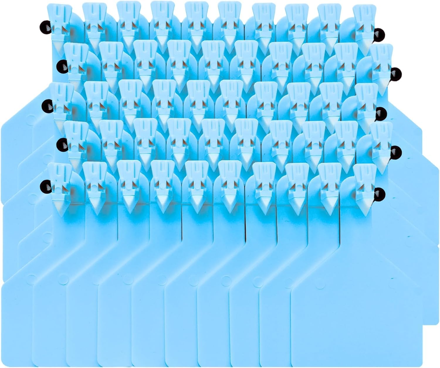 Amazon.com: Ear Tags for Cattle Blue Cattle Tags for Personalized Ear ...