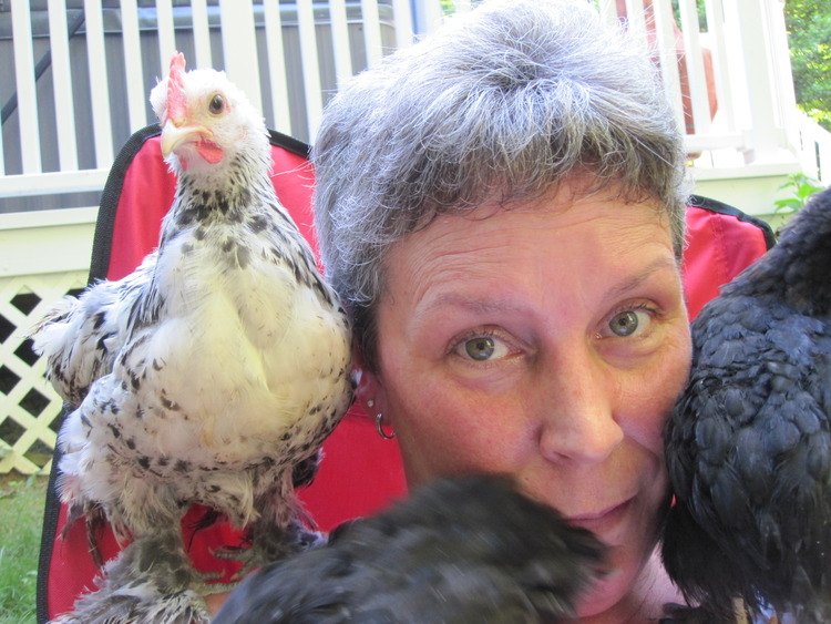 Amazon.com: Ginny Tata-Phillips: books, biography, latest update
