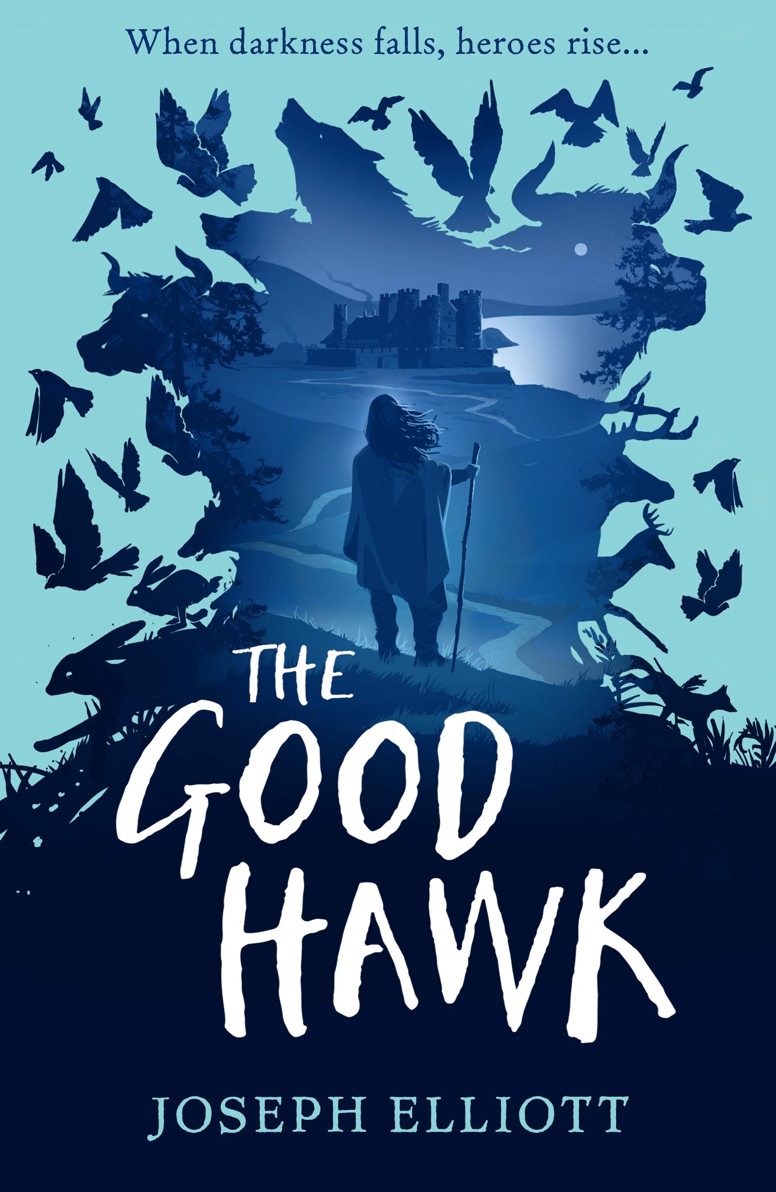 The Good Hawk (Shadow Skye, Book One) : Elliott, Joseph: Amazon.co.uk ...