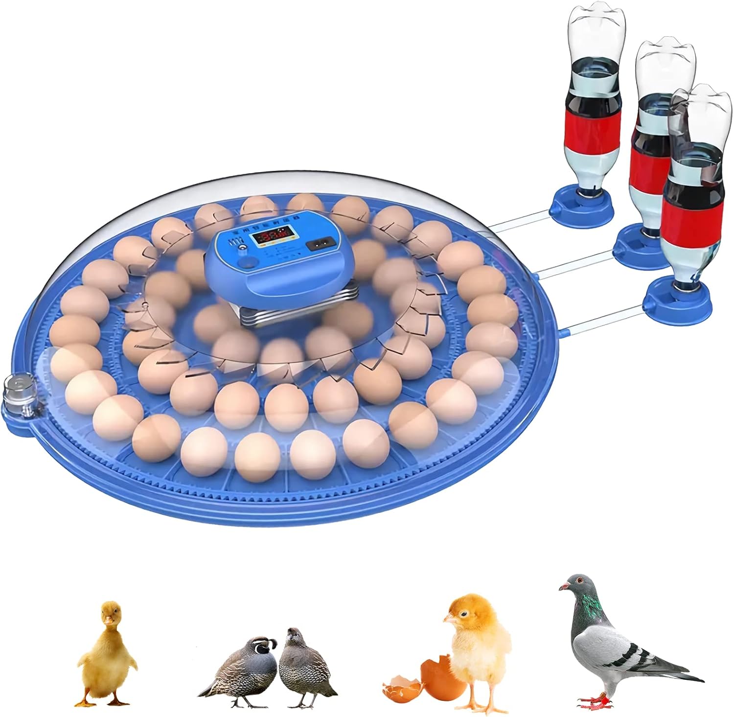 Amazon.com: Moricere 52 Egg Incubators for Chickens, Egg Candler ...