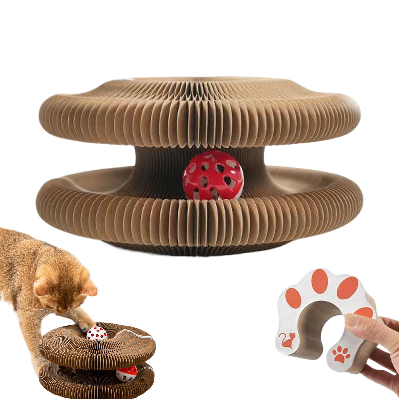 Amazon.com: Kitty Kurlz Cat Toy, Kitty Kurlz Large, Foldable Accordion ...