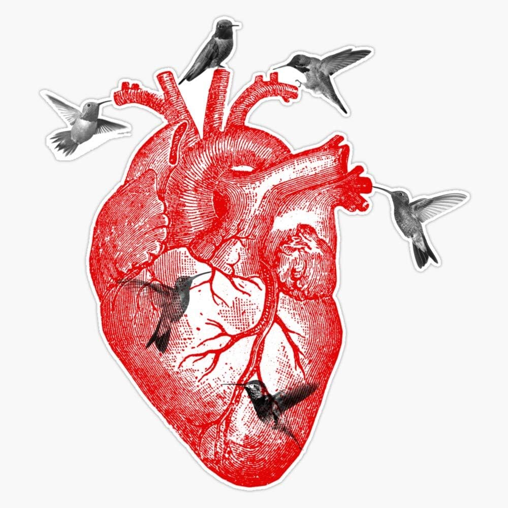 Amazon.com: Floral Heart Illustration Sticker Vinyl Waterproof Sticker ...