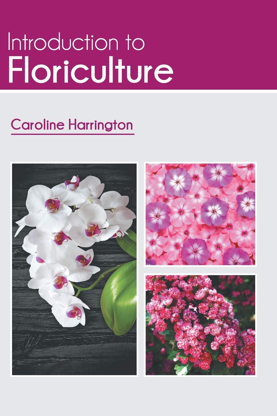 Introduction to Floriculture: Harrington, Caroline: 9781641721455 ...