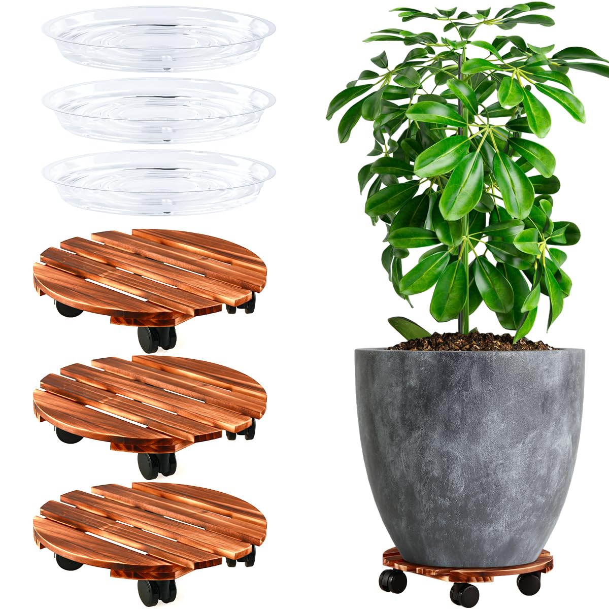 Snapklik.com : 3 Pack Plant Caddy