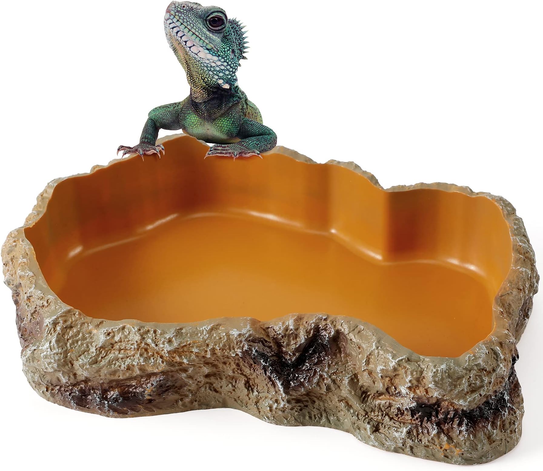 Amazon.com : Reptile Food Water Rock Bowls - Lizard Resin Rock Worm ...