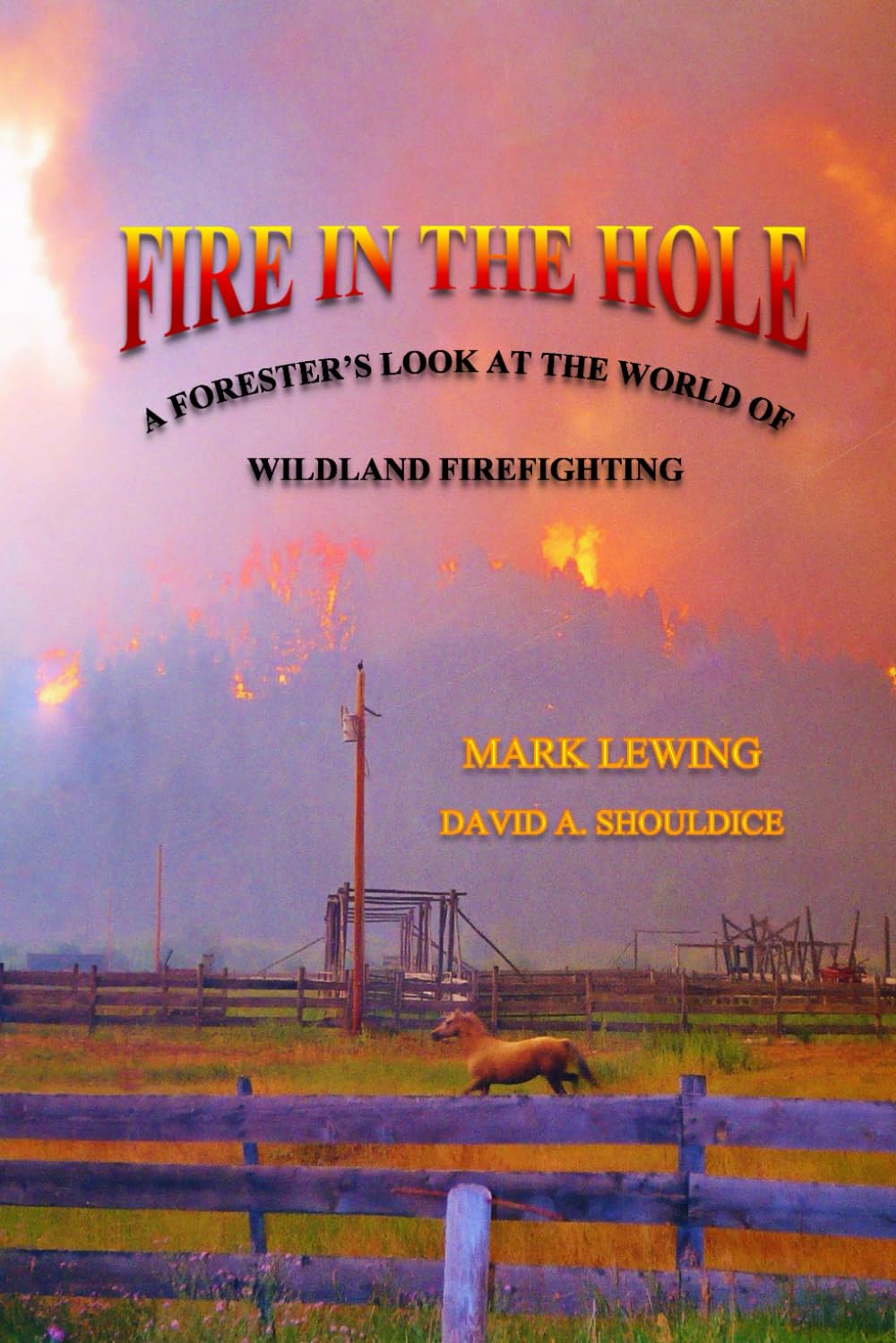 Fire In the Hole: A Forester's Look at the World of Wildland Fire ...