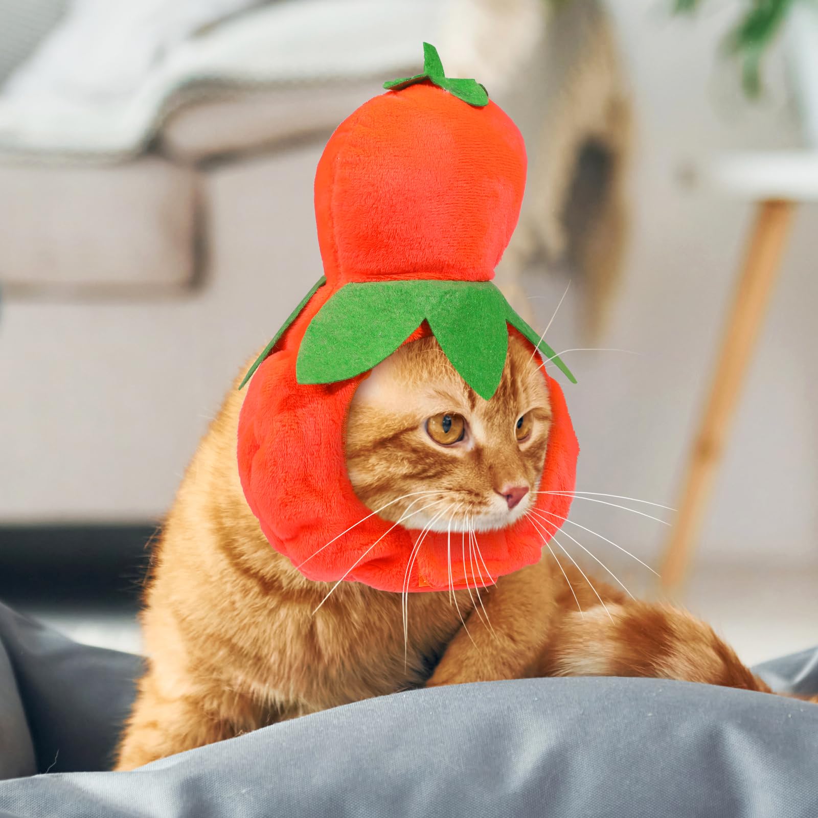 Snapklik.com : YASUOA Cat Costume Cute Persimmon Outfit Hat