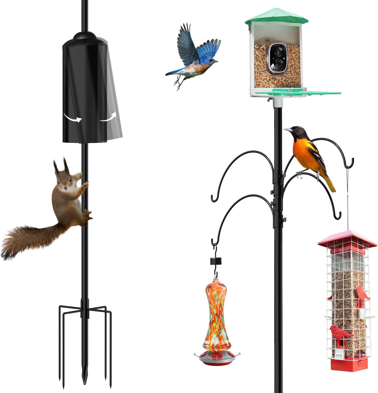 Amazon.com : Squirrel Stopper Sequoia Squirrel Proof Pole System with 4 ...