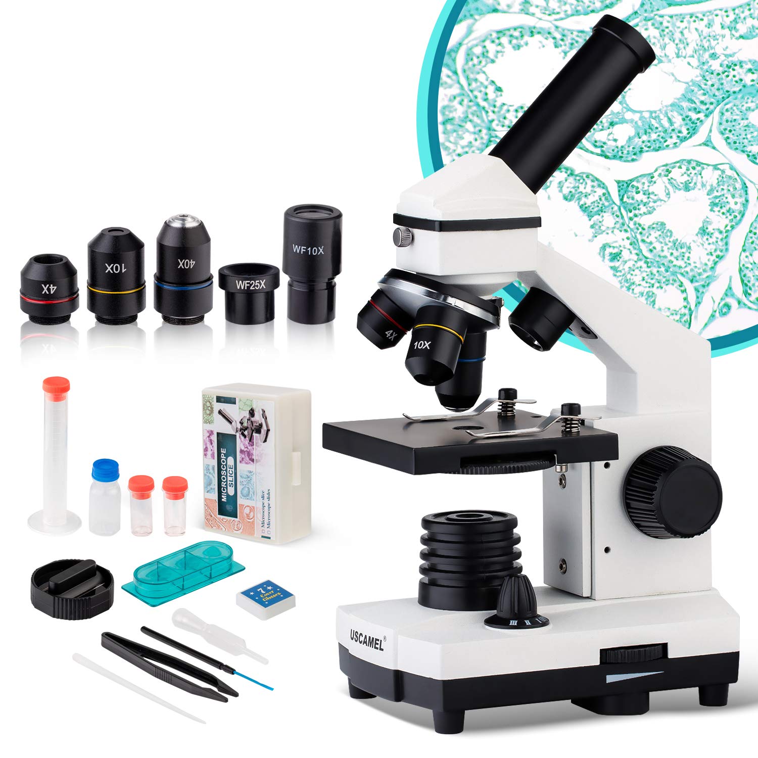 Upgrade Microscope 40X-1000X for Kids, Students, Adult Powerful ...