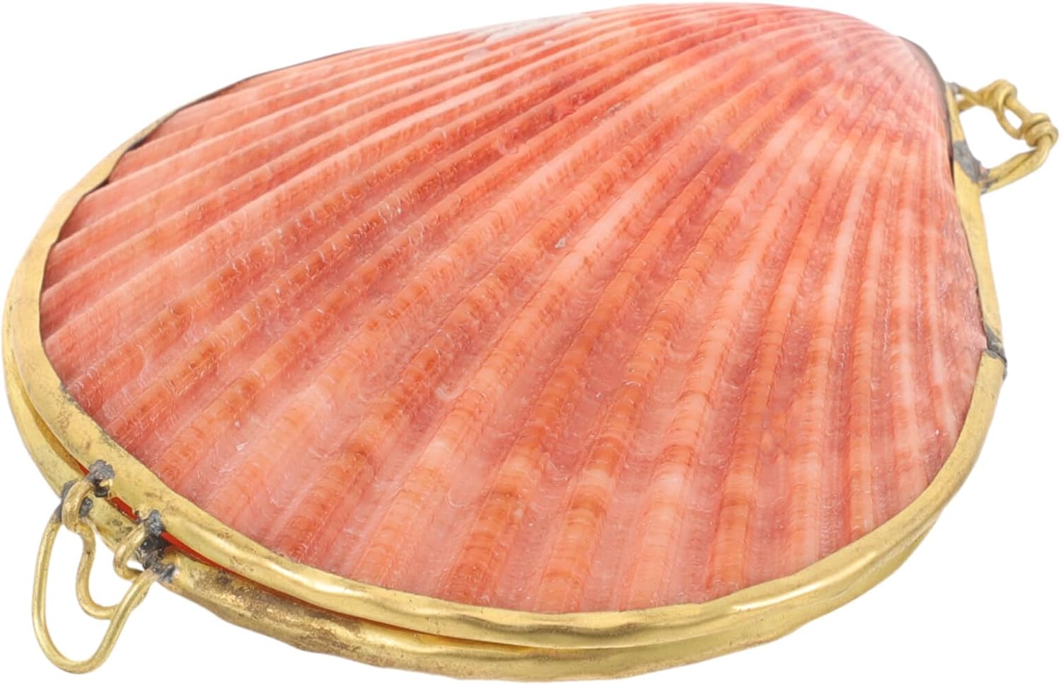 Amazon.com: SEWACC Seashell Trinket Box Shell Shape Retro Boxes Jewelry ...