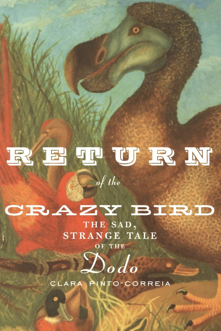 Buy Return of the Crazy Bird: The Sad, Strange Tale of the Dodo Online ...