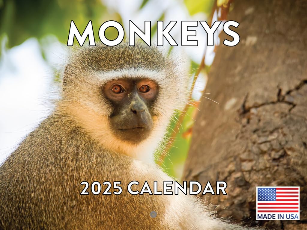 Snapklik.com : Monkey Calendar 2025 Monthly Wall Calender 12 Month ...