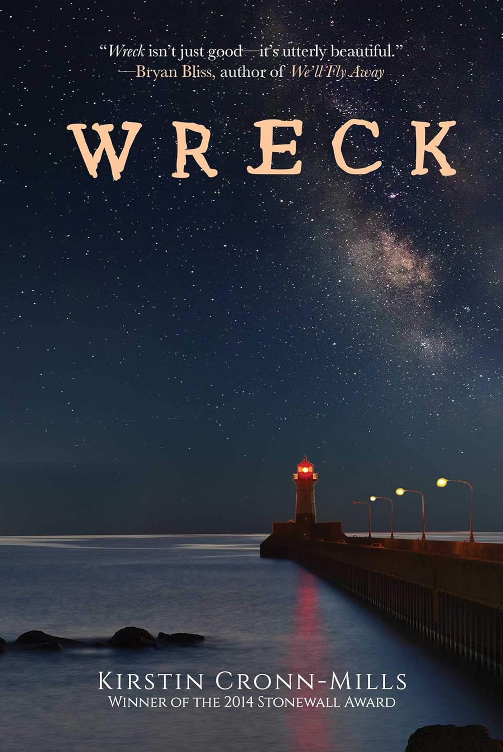 Amazon.com: Wreck: A Novel eBook : Cronn-Mills, Kirstin: Kindle Store