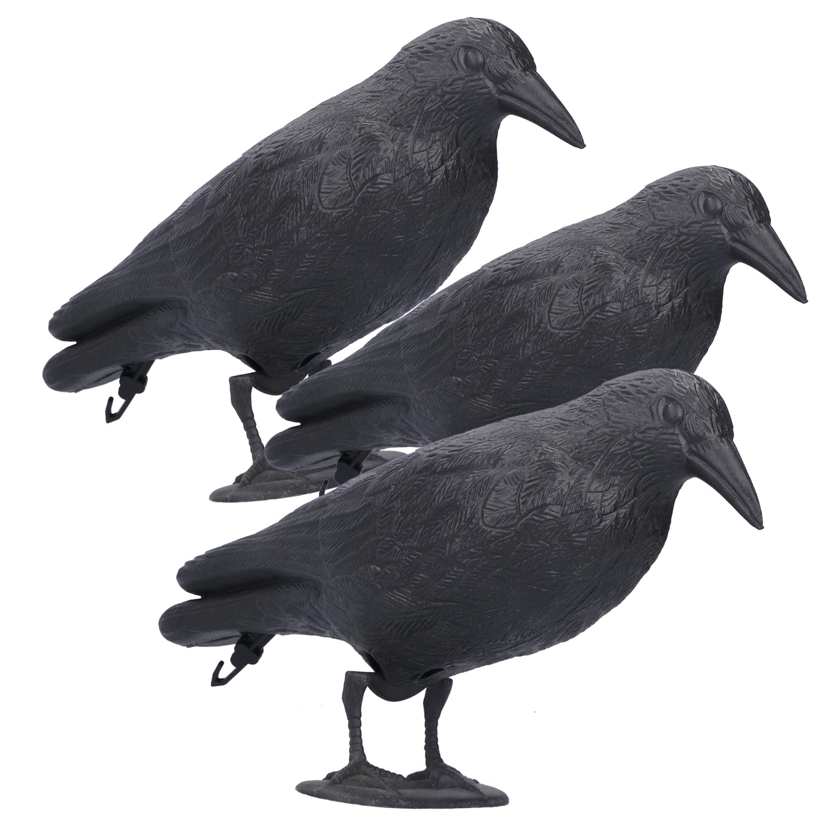 Decoying Crows