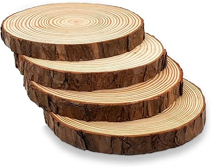 Amazon.com: DSYIL 4 Pack Large Unfinished Wood Slices, 7-8 Inch Wood ...