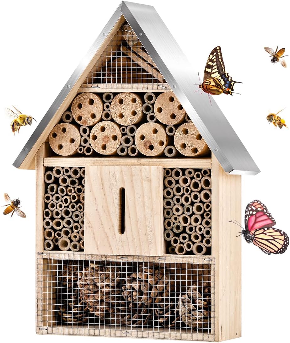 Amazon.com: Wildlife World Dew Drop Butterfly House Garden Habitat ...