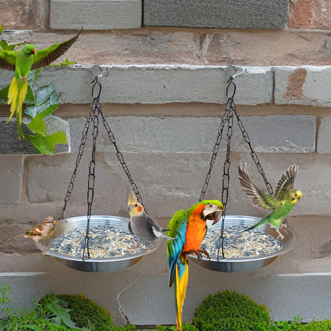 Stainless Steel Premium Bird Feeder Plate for-> All The King of Birds ...