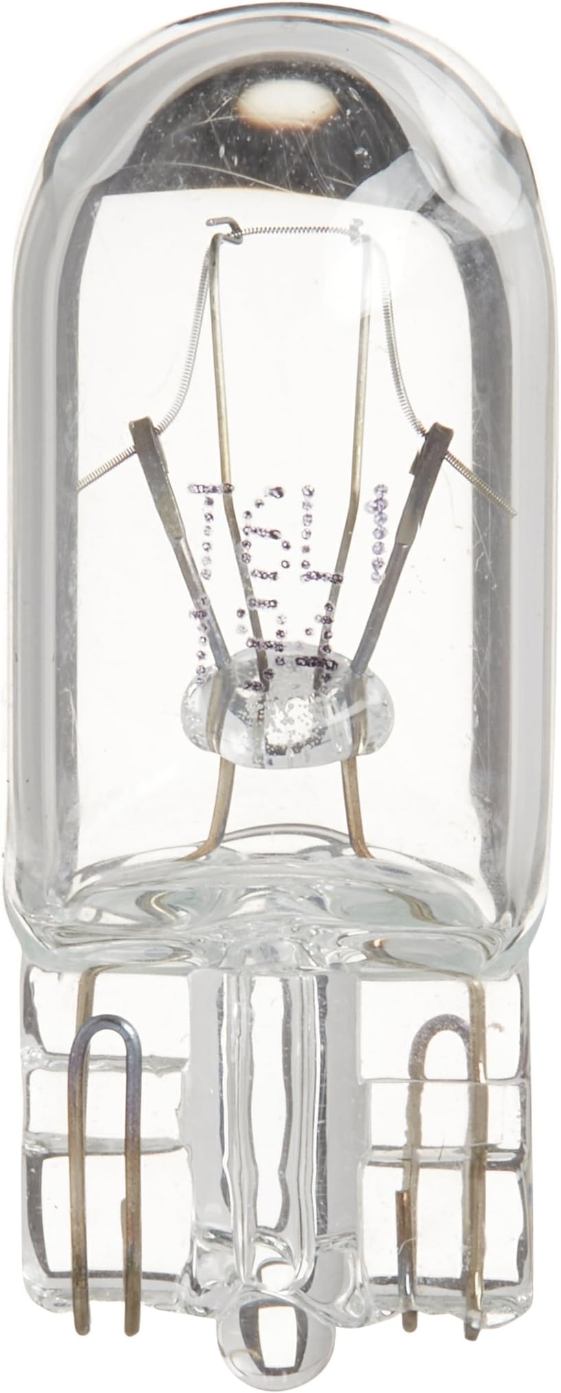 Amazon.com: GM Genuine Parts 13503359 Multi-Purpose Light Bulb : Automotive